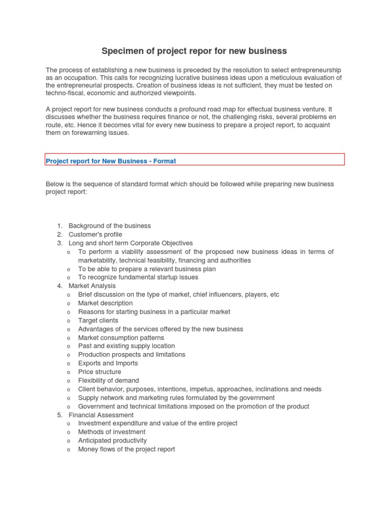 Specimen of Project Repor For New Business | PDF | Entrepreneurship ...