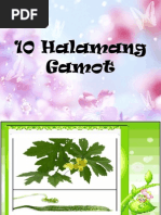 Halamang Gamot Ago | PDF