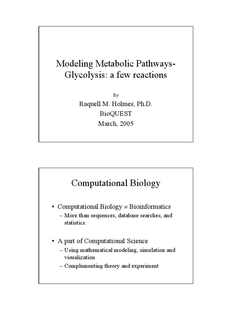 Modeling Metabolic Path | PDF | Metabolic Pathway | Metabolism