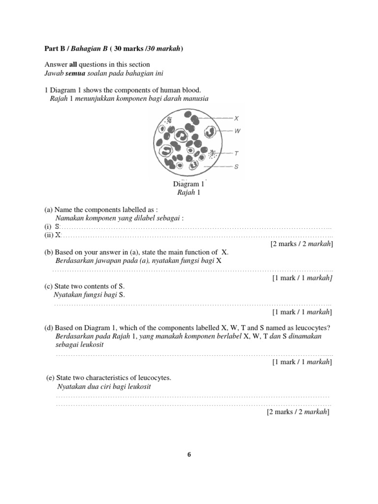 BIO UB1 F5 2013 Part B | PDF | Anatomy | Biology
