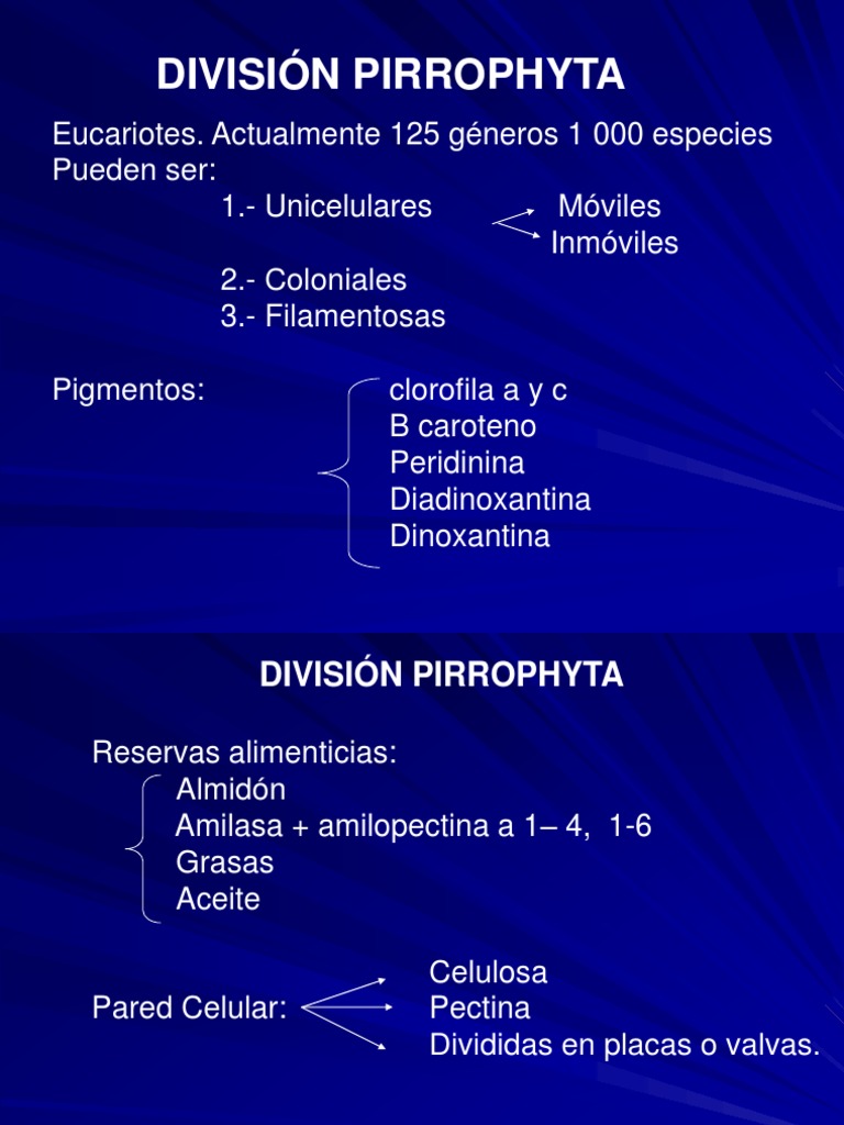 Características de la División Pyrrophyta | PDF | Biología Celular ...