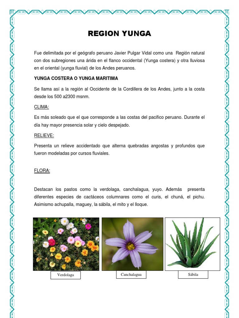 Flora de la Región Yunga del Perú | PDF | Historia