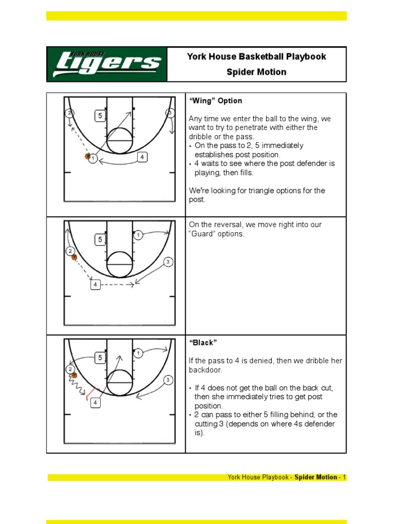 Spider Movement | Basketball Positions | Games Of Physical Skill