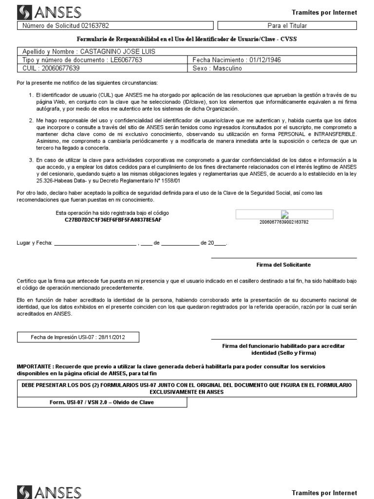 ANSES - Formulario USI-07 | PDF | Internet | Red mundial