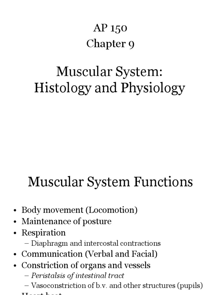 Muscular System: Histology and Physiology | PDF | Muscle Contraction ...