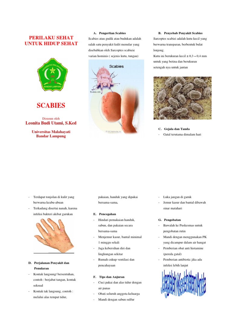 Leaflet SCABIES
