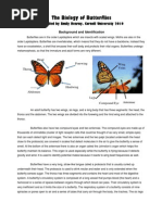 Montessori Butterfly Nomenclature Cards Ages 6 To 9 | PDF