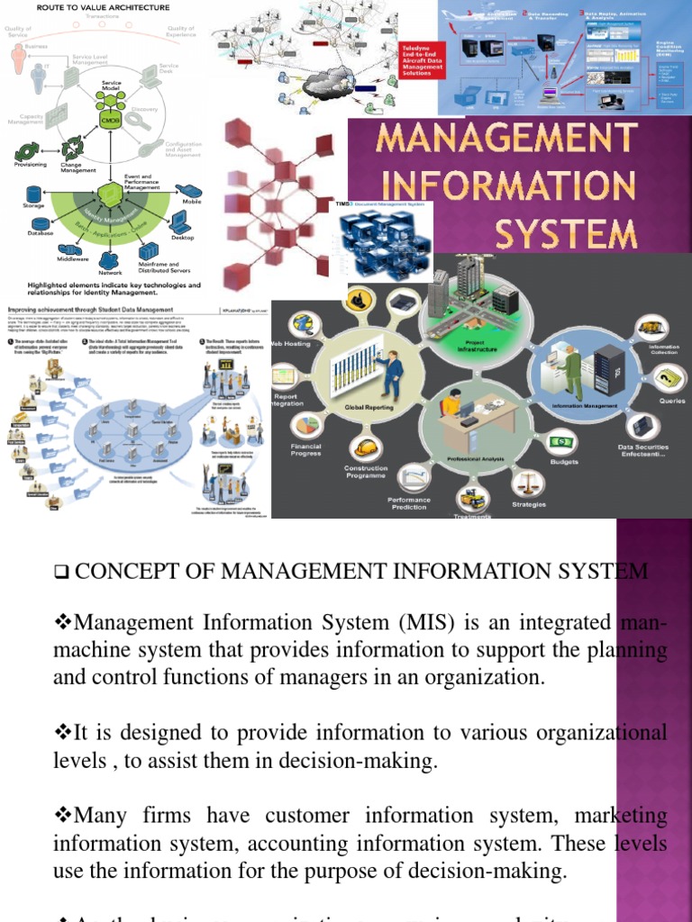 MIS Presentation Exclusive | PDF | Decision Support System ...