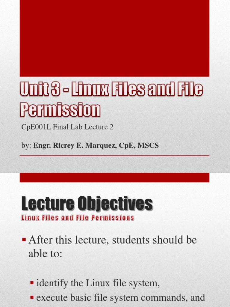 CpE001L Final Lab Lecture 2 - Linux Files and File Permissions | PDF | File Format | Computer File