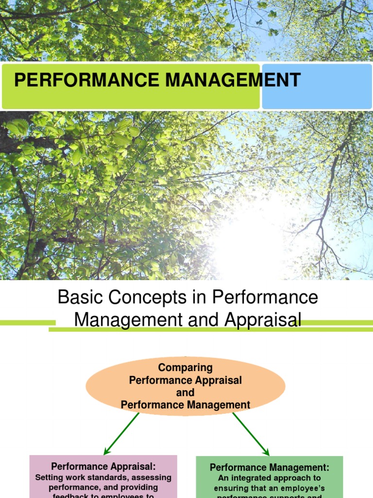Performance Management | PDF | Performance Management | Performance ...