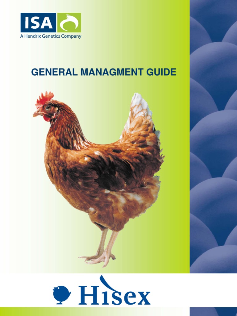 Hisex Brown Layer Management Guide | PDF | Beak | Birds