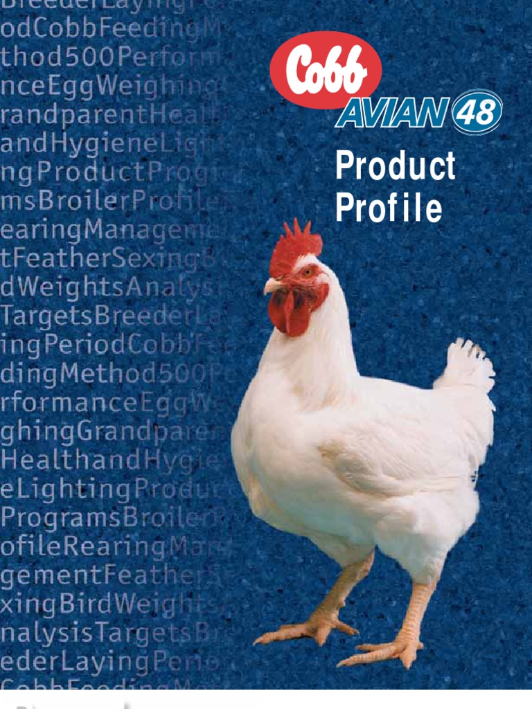 Cobb Avian 48 PP | PDF | Broiler | Birds