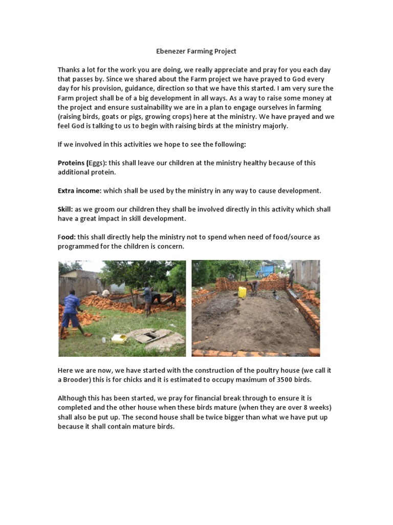 Ebenezer Farming Project | PDF | Farms | Poultry