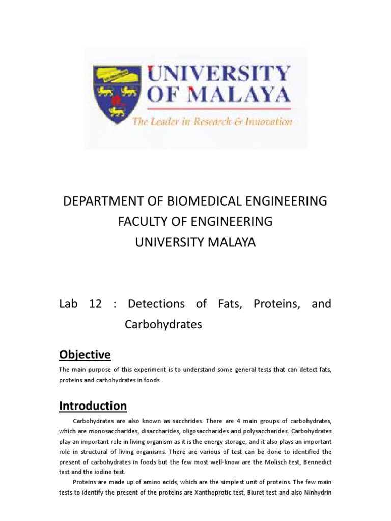 Lab Detections of Fats, Proteins, and Carbohydrates | PDF ...