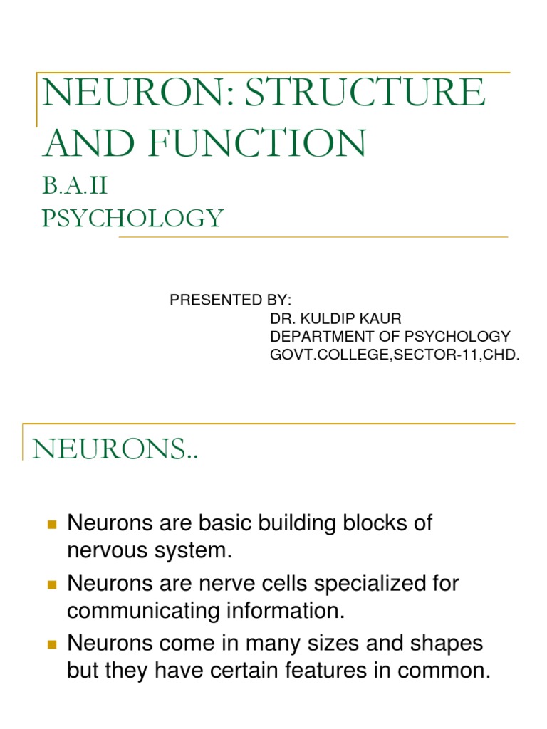 Neuron: Structure and Function: B.A.II Psychology | PDF | Chemical ...