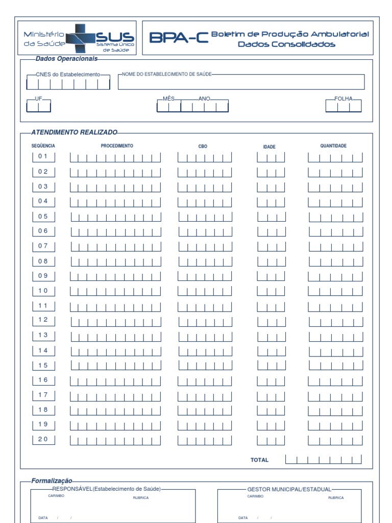 Formulario BPA Consolidado