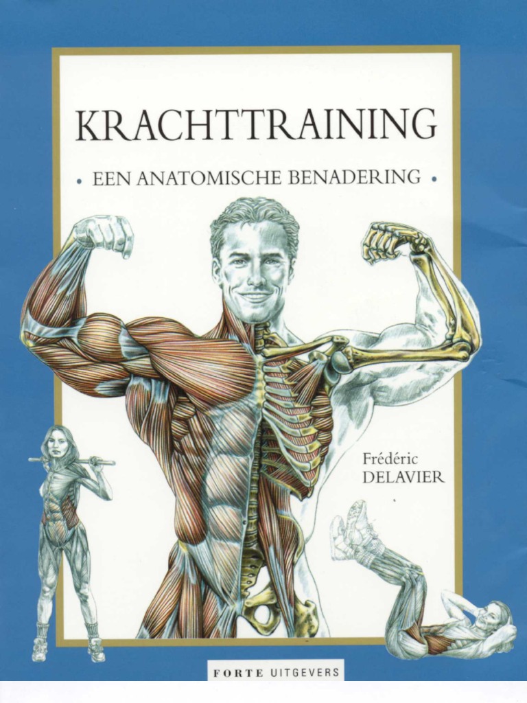 Anatomy of Bodybuilding 2 | PDF