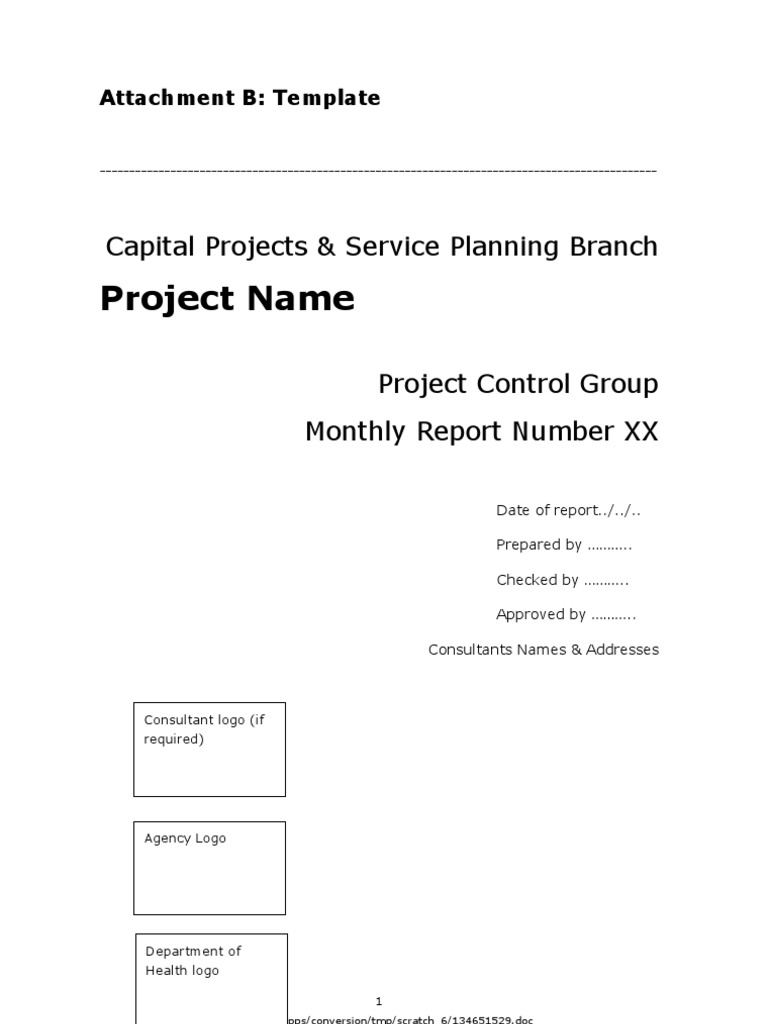 Monthly Project Report Template | PDF | Life Cycle Assessment | Risk ...