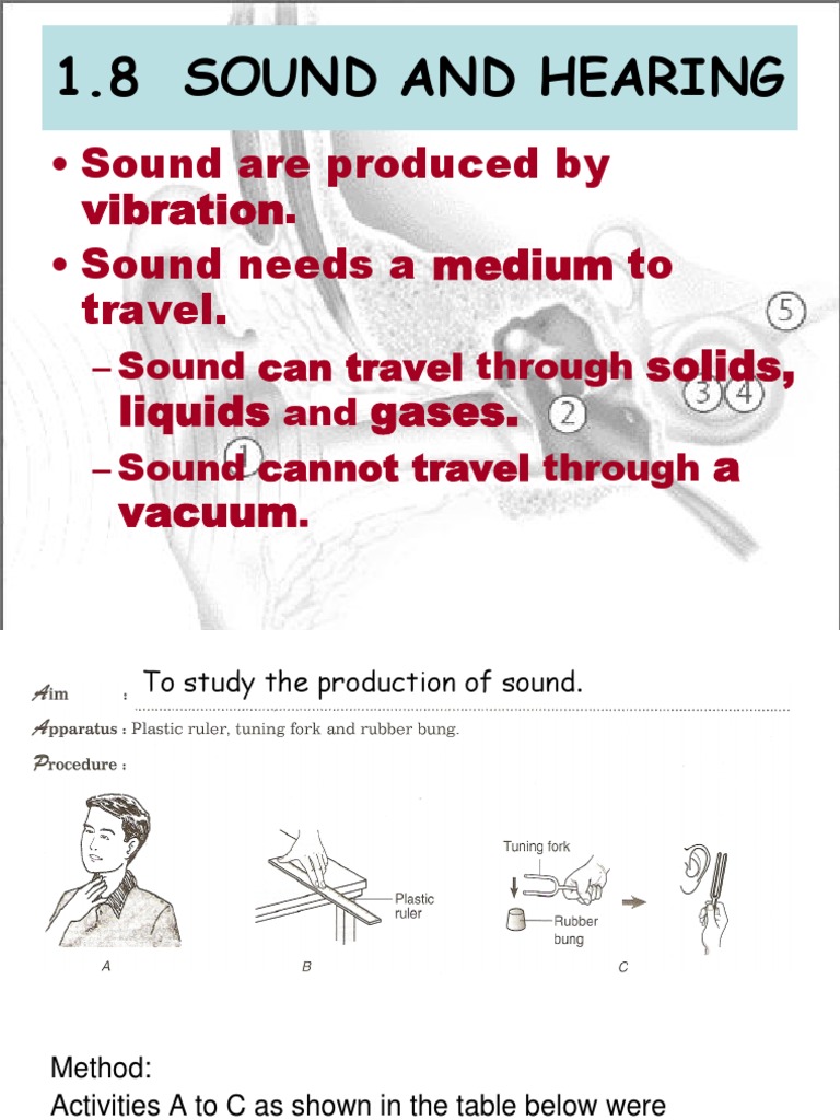 1.8 Defects of Hearing and Ways to Correct Them | Hearing | Ear