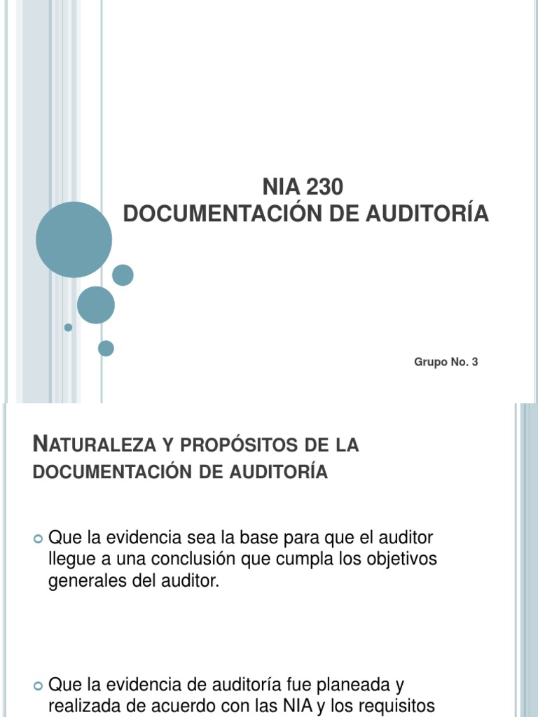 Nia 230 | PDF | Contralor | Auditoría financiera