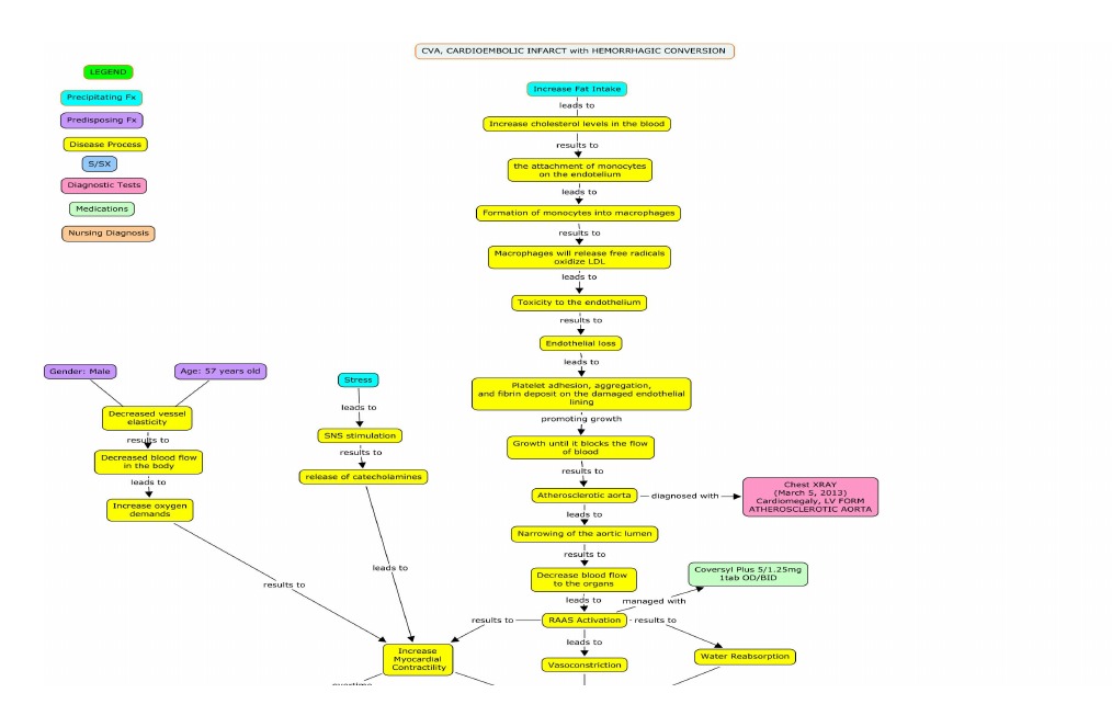 cardioembolic stroke (pathophysiology)