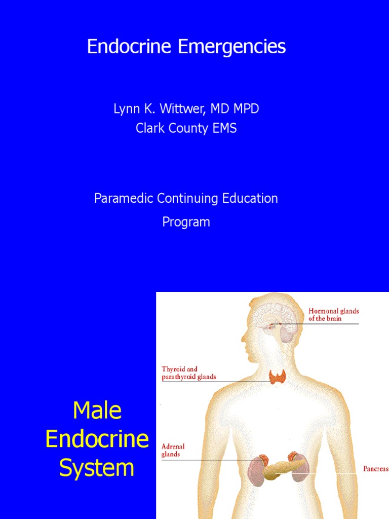 Endocrine Emergencies: A Comprehensive Review of the Anatomy ...