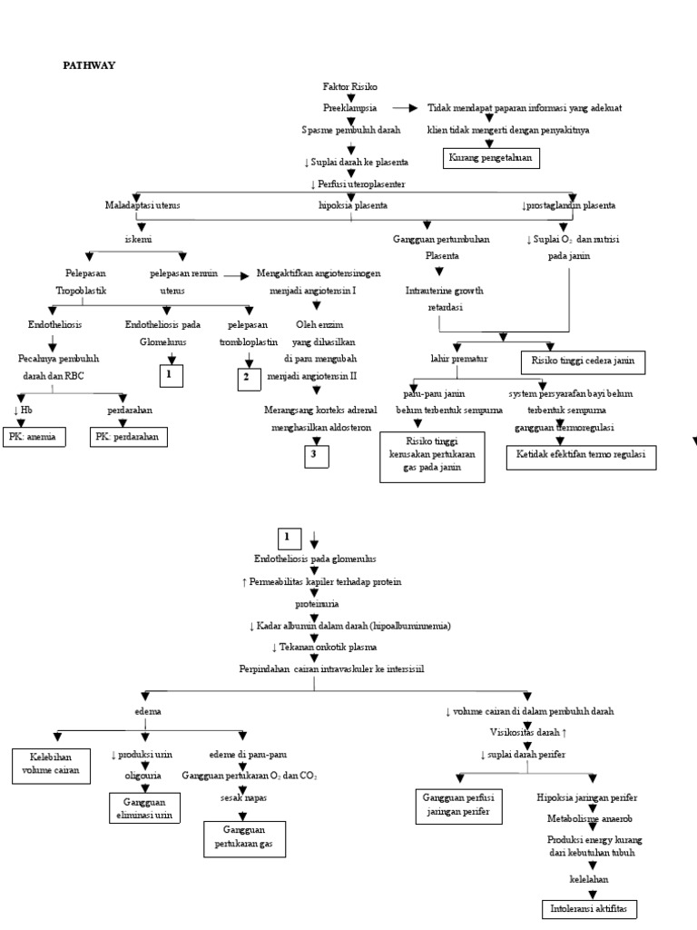Pathway Preeklamsi