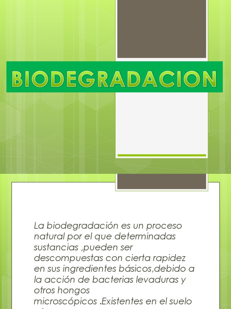 Biodegradacion y Biorremediacion | Descargar gratis PDF | Contaminación ...