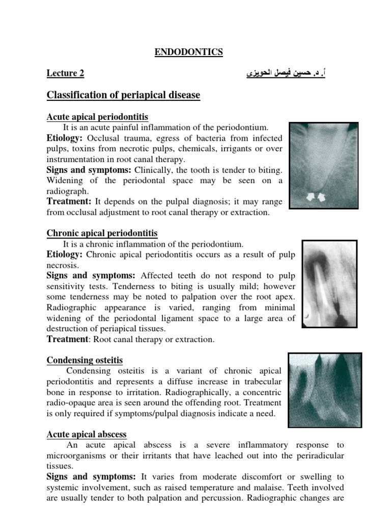Endo 2 PDF | PDF | Dental Anatomy | Clinical Medicine
