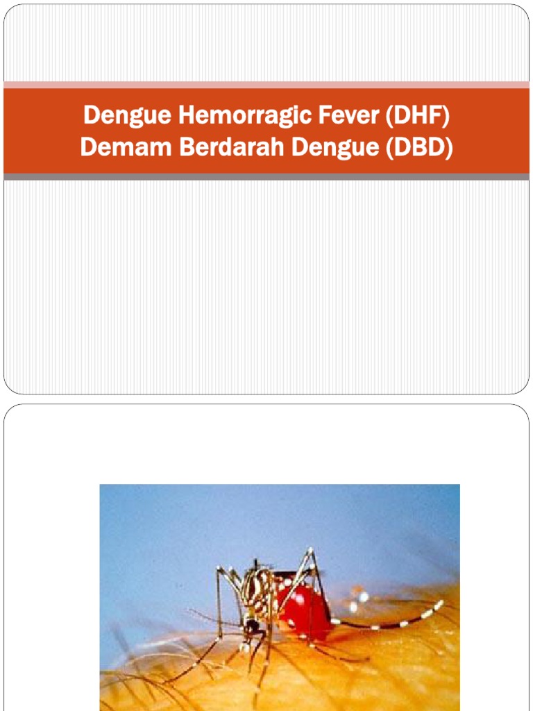 Dengue Hemorragic Fever (DHF) Demam Berdarah Dengue (DBD) | PDF