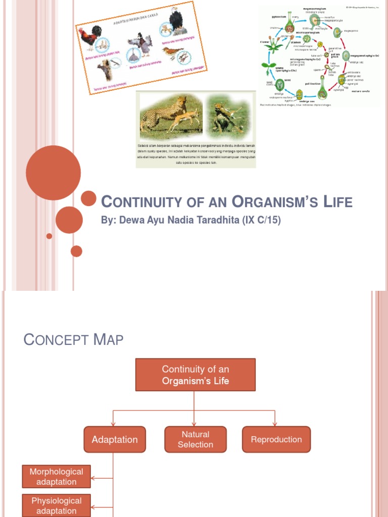 Continuity of An Organism's Life | PDF | Flowers | Adaptation