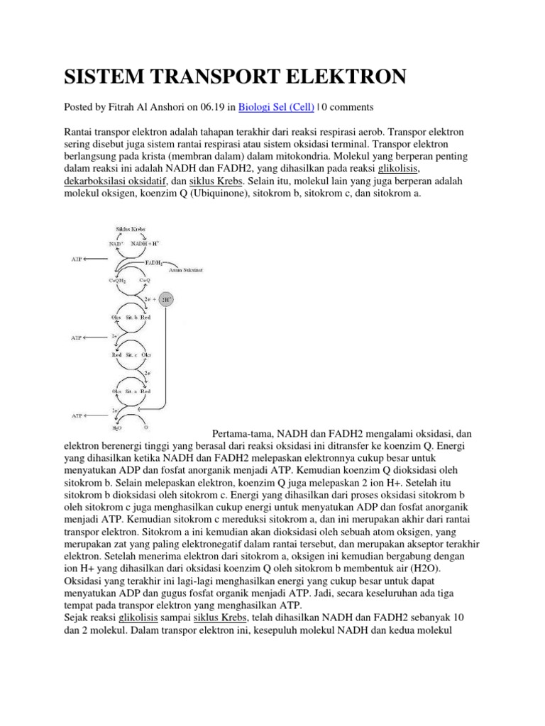 Sistem Transport Elektron | PDF