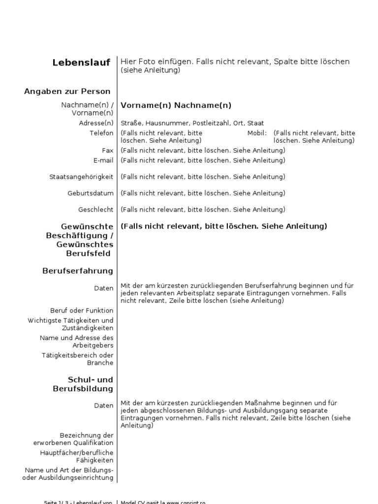 Model CV Curriculum Vitae European Germana | PDF
