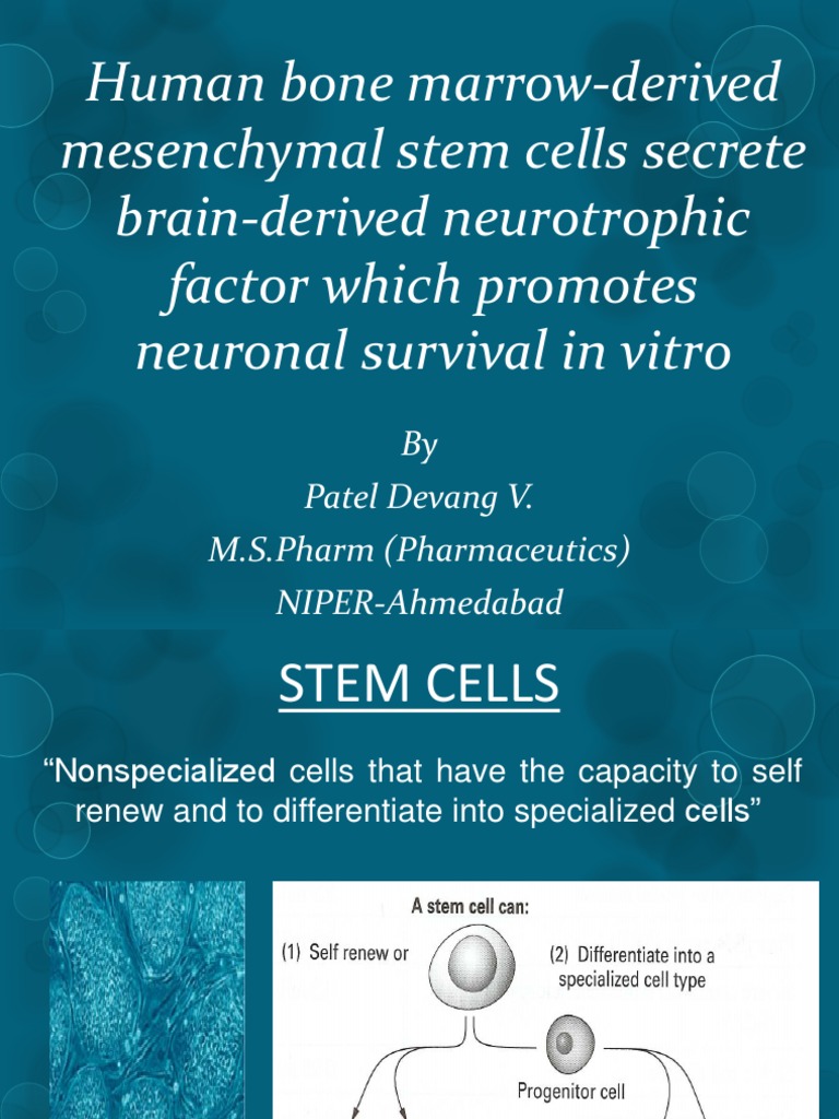 Neuronal Survival in Vitro | PDF | Cell Potency | Stem Cell