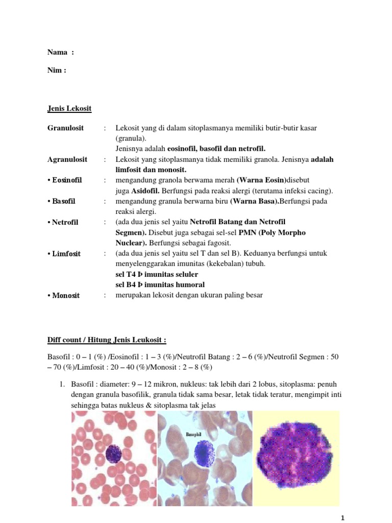 Histologi Sel PMN, Hasil Koh Tzenk Gram | PDF