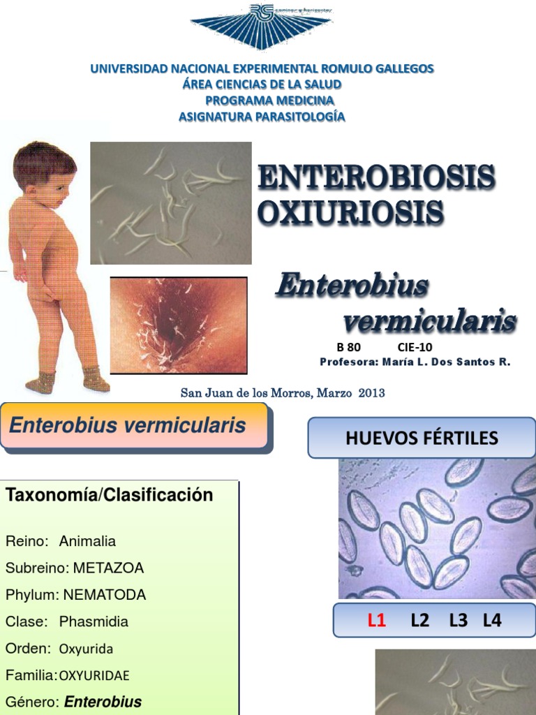 Enterobiosis, Oxiurosis | PDF | Ciencias de la Salud | Inmunología