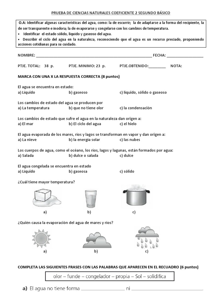 Prueba de Ciencias Naturales El Agua | PDF