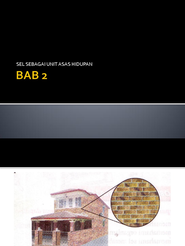 Sains Tingkatan 1 Bab 2 Pdf