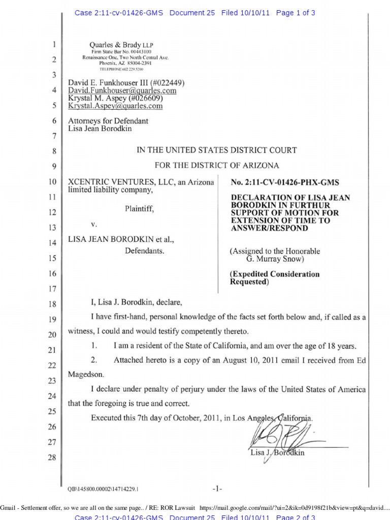 25 - Lisa Declaration | PDF | Lawsuit | Public Law