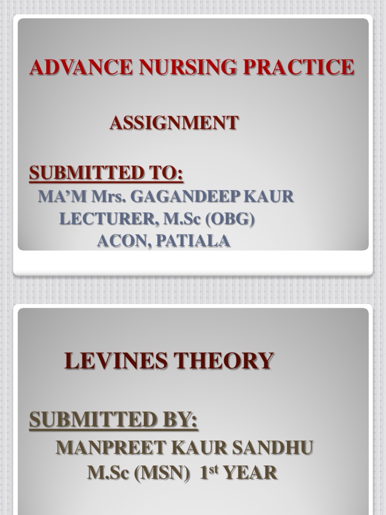 Levines Theory | PDF | Integrity | Nursing