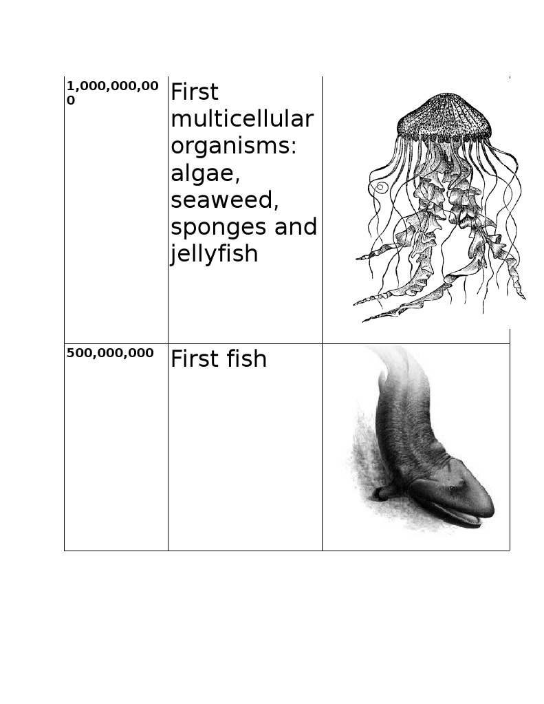 Evolution Timeline Highlights | PDF | Plants | Organisms