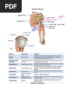Shoulder MMT Techniques and ROM Guide | PDF | Anatomical Terms Of ...