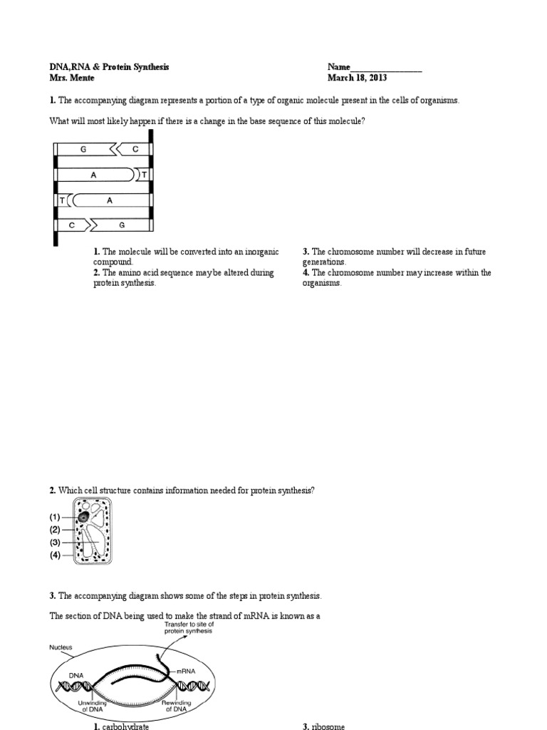 Regents Protein Synthesis | PDF | Dna | Cell (Biology)