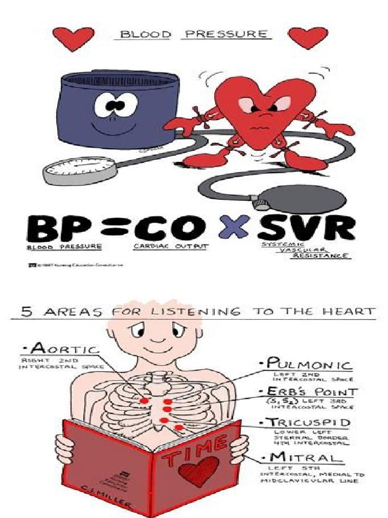 Summary Mnemonic S | PDF