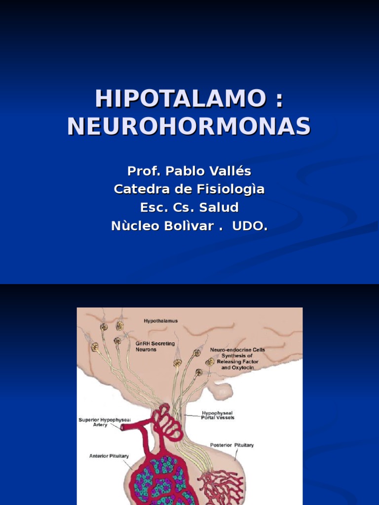 Neurohormonas | PDF | Endocrinología | Hormona