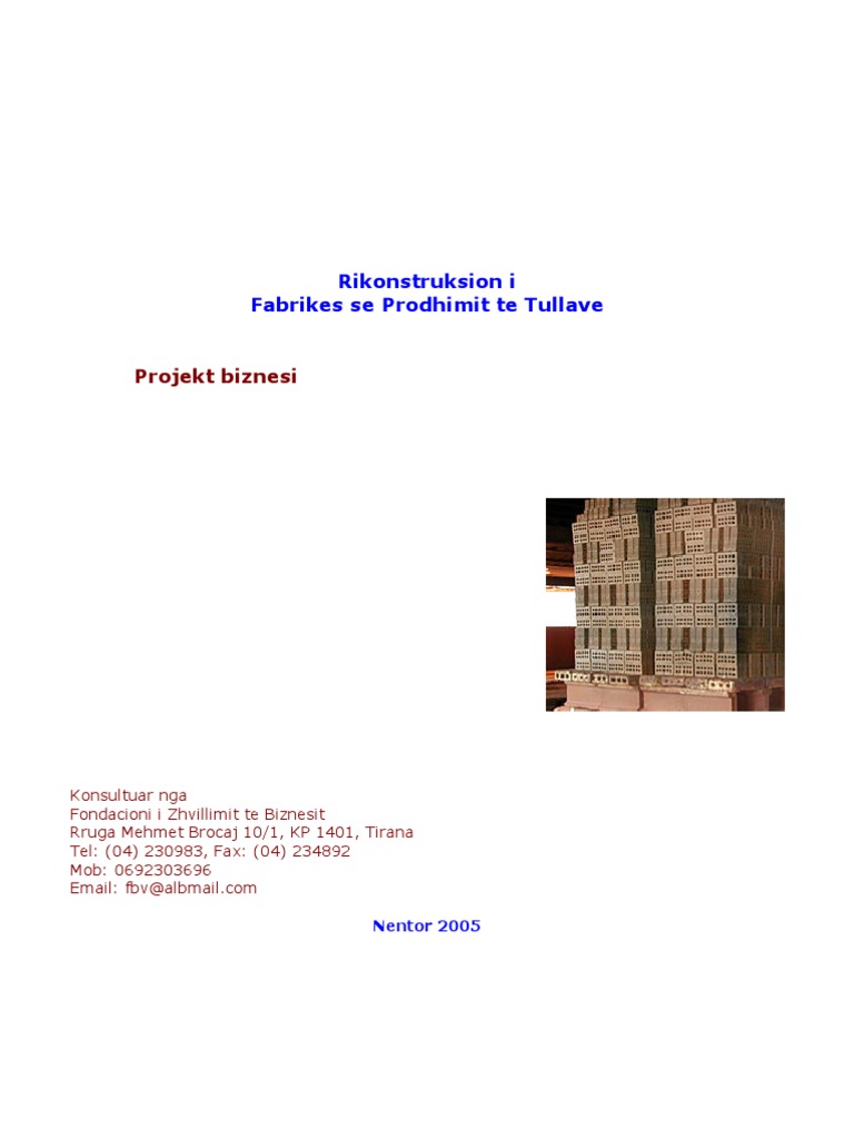 Model Plan Biznesi 2005 Agimi | PDF