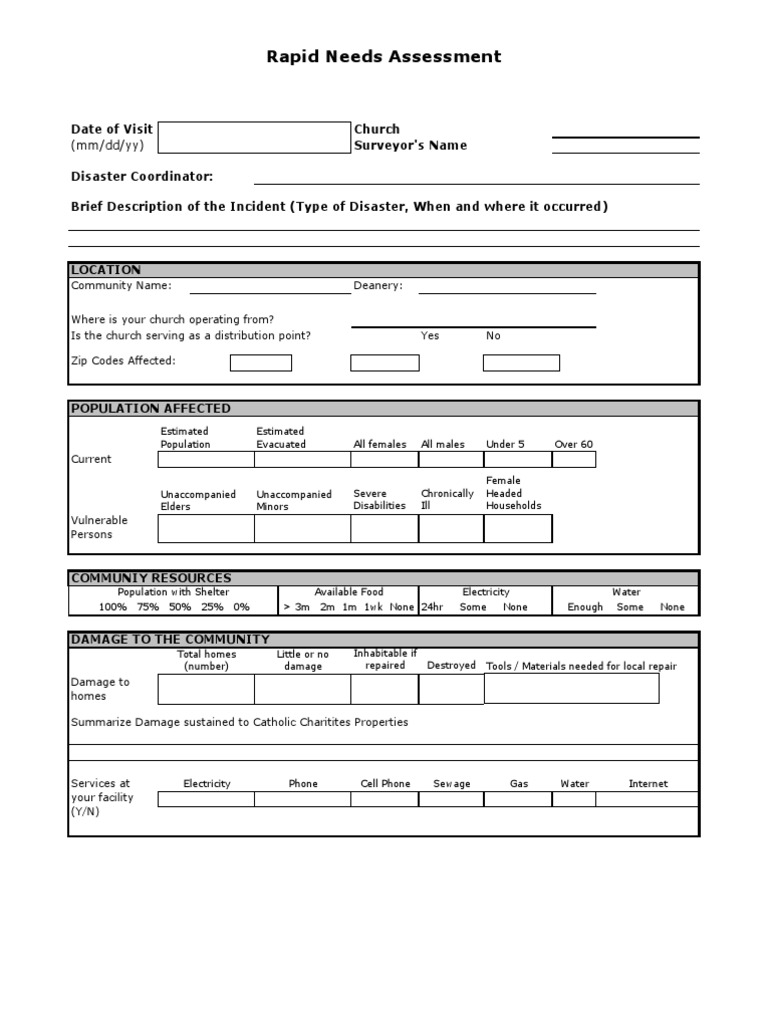 Disaster: Rapid Needs Assessment Form | PDF