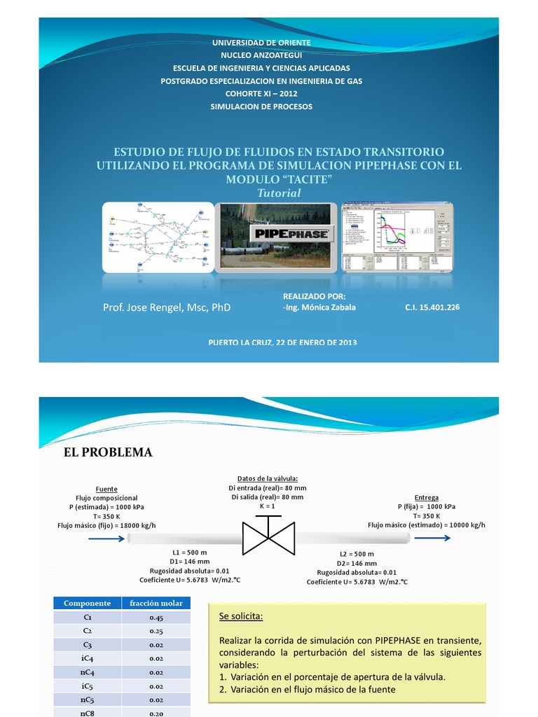 Tutorial Ejemplo-Simulación Con Pipephase | PDF | Point and Click | Simulación
