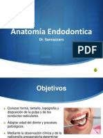 Clasificacion de Vertucci | PDF | Diente | Anatomia dental