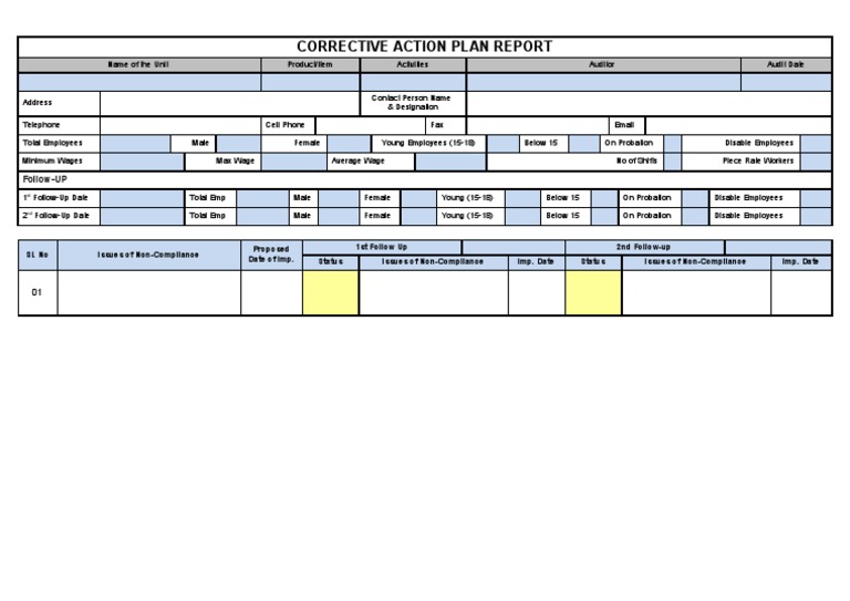 Corrective Action Plan Report | PDF